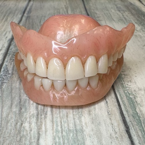 Vintage Dentures Upper & Lower False Teeth w Gums Sculpture Oddity ...