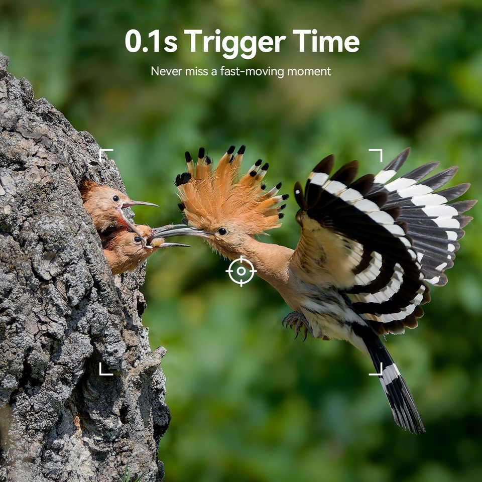 Gray Trail Hunting Game Camera with Night Vision 4K Waterproof Motion ...