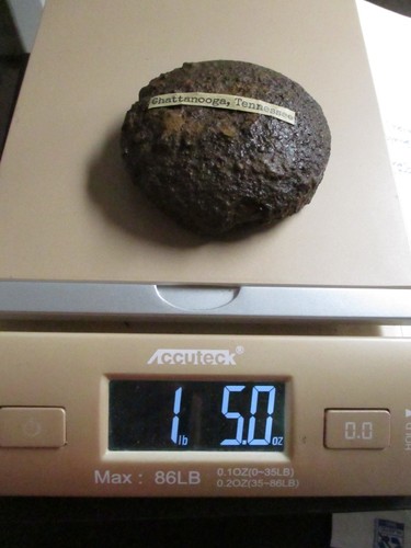 Civil War Dug Artillery Shell Relic Hotchkiss Shell Cup Base ...