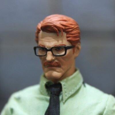1/12 Custom DC Universe Jim Gordon Head Sculpt | eBay