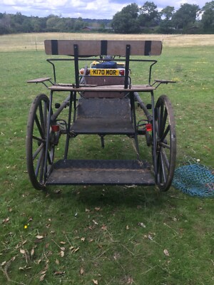 2wheeled exercised/marathon cart | eBay UK