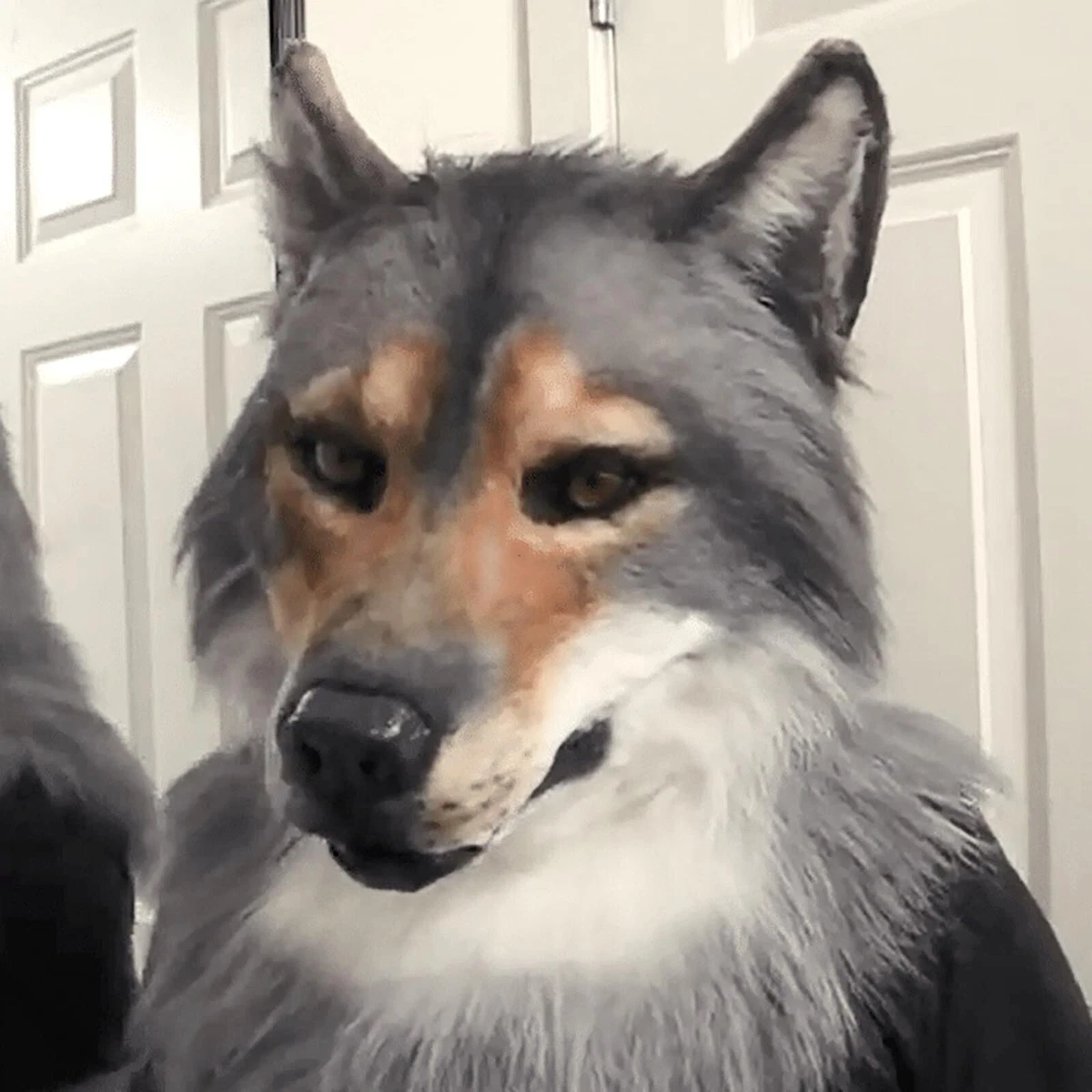 Realistic Wolf Costume For Kids