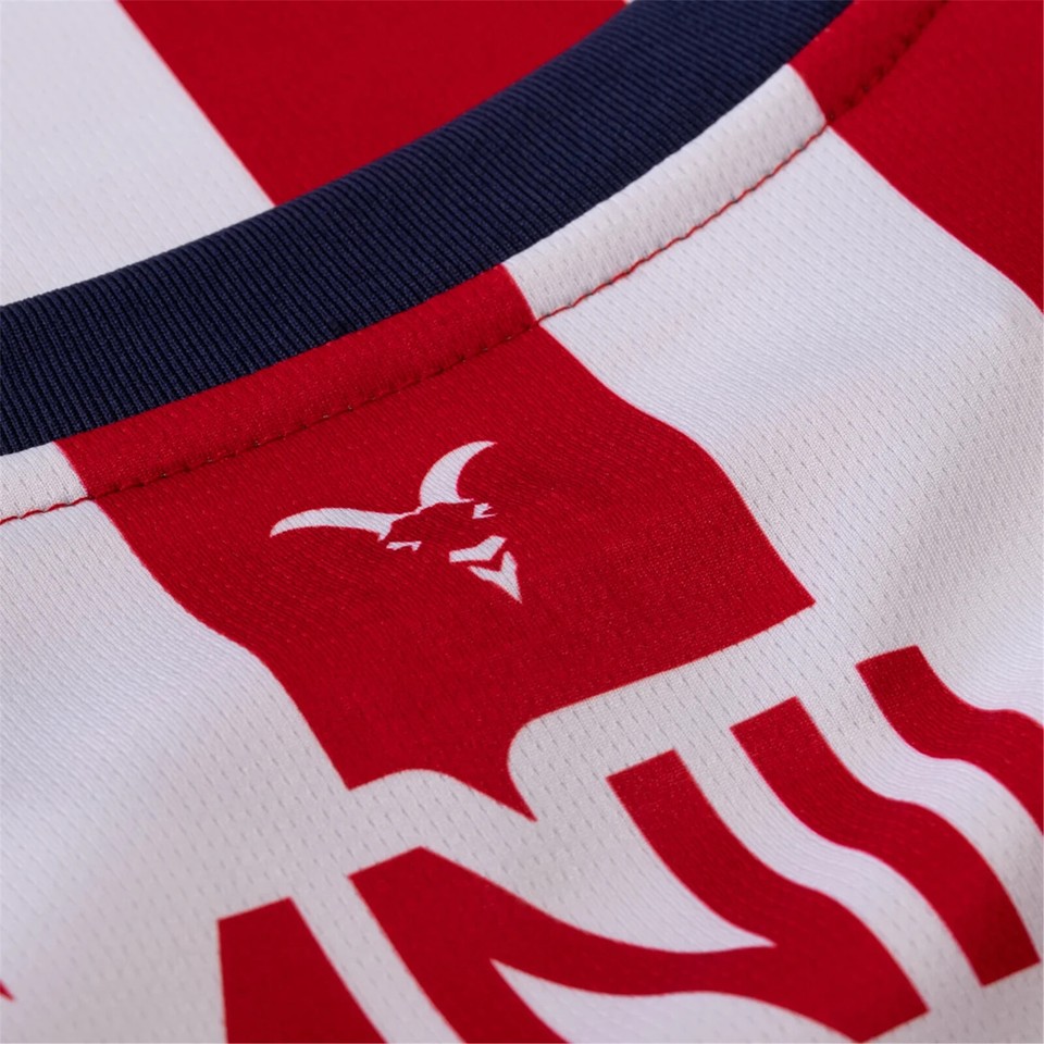 L Reg Fit Jersey Chivas del Guadalajara Home 24 - Puma - Logo ...