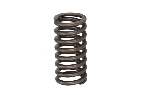 Valve spring FP DIESEL 2941688-FP | eBay