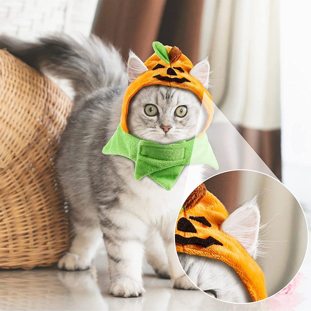 Cat Pumpkin Costume