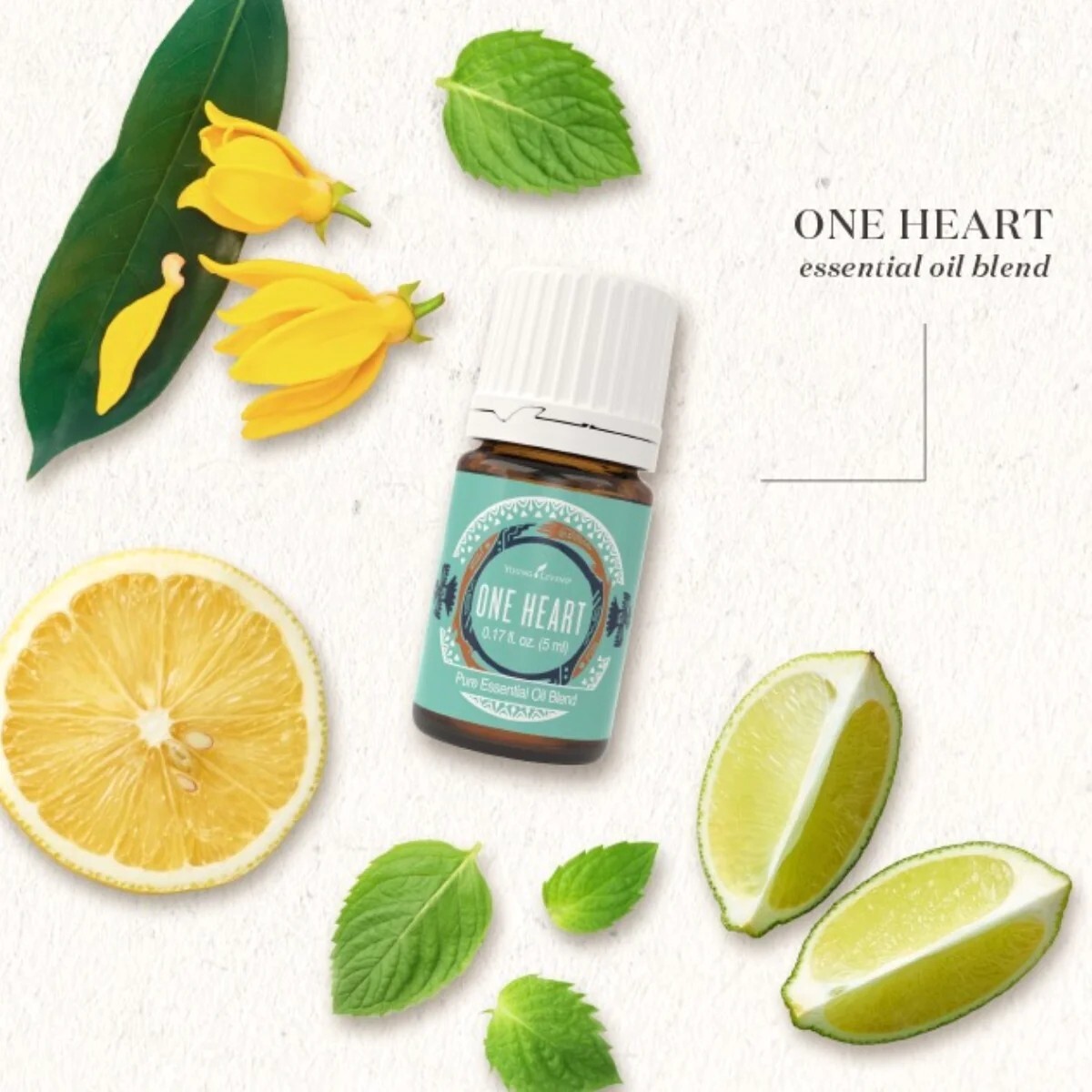 One Heart Young Living Essential Oil Blend (5 ml) BRAND NEW - SEALED | eBay