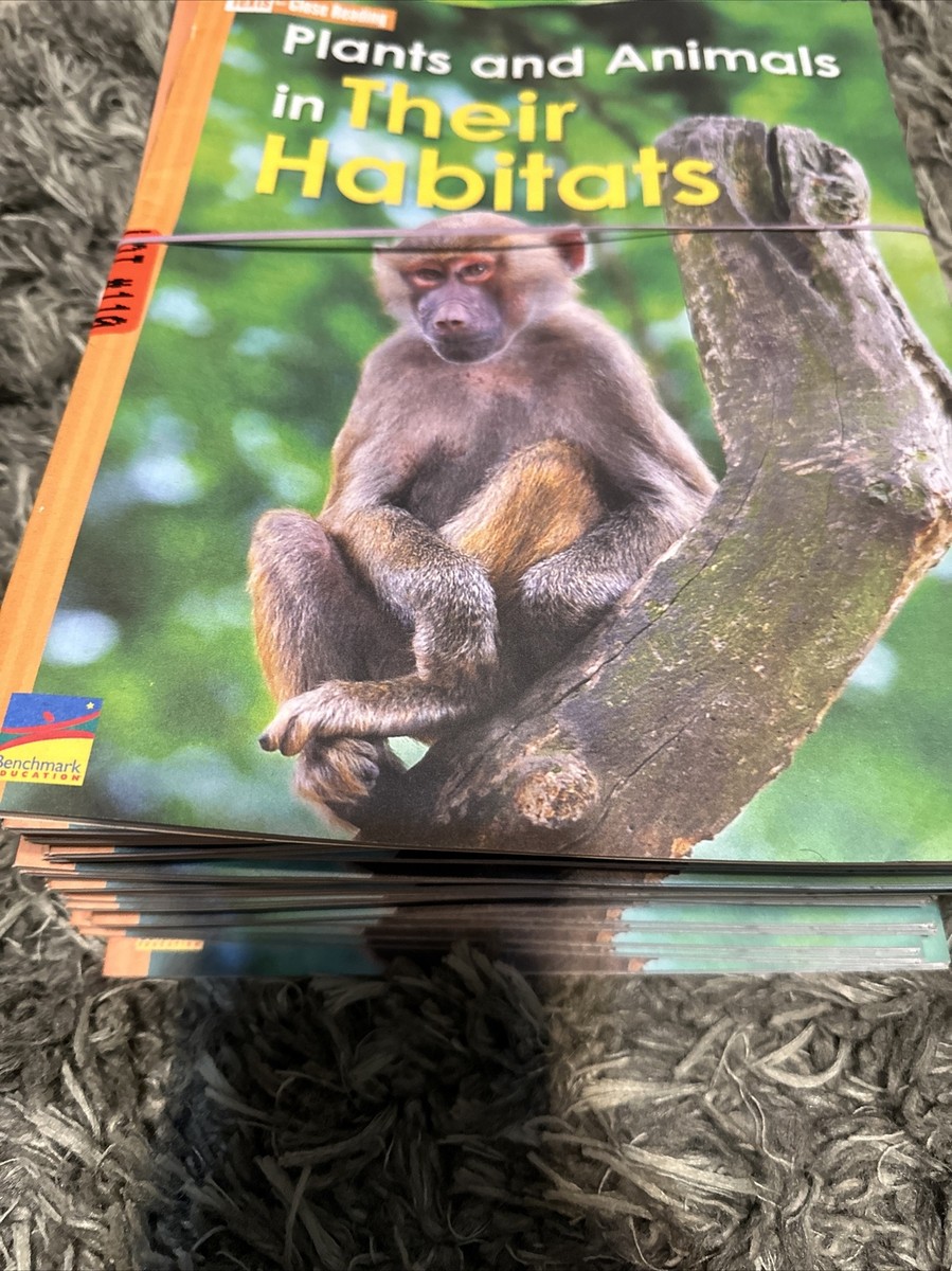 Images Of Animals And Their Habitats Habitat Poster Etsy New Zealand