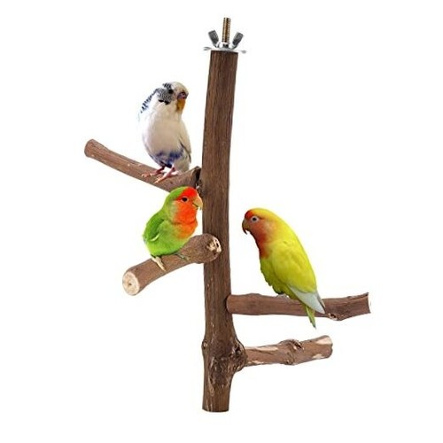 Bird Perch Stand Toy, Natural Grapevine Wood Parrot Perch Bird Cage 9.8 ...