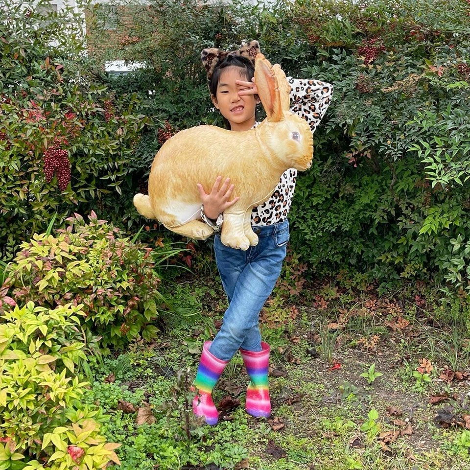 Jet Creations Bunny Rabbit Inflatable Birthday Party Pet Air Stuffed ...