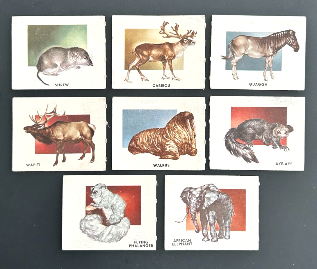 1951 TOPPS ANIMALS OF THE WORLD...LOT OF 17...nice crease free | eBay