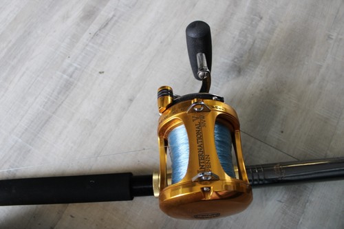 NEW Penn International Rod and Reel, VS3080ARA60 6', 30-80lb line | eBay