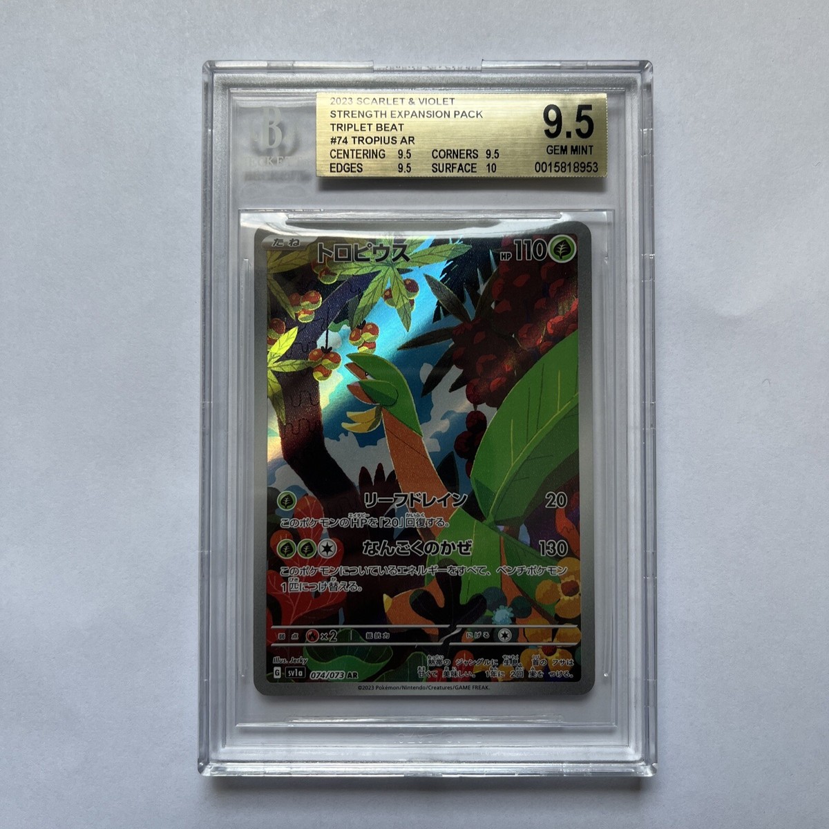 Tropius Pokemon Card 195 193