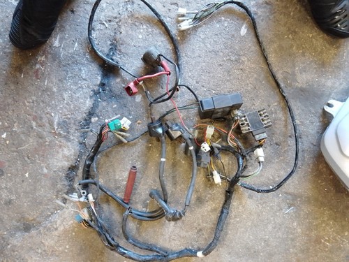 Hyosung Gv 125 Gt125r Wiring With Coil's | eBay UK