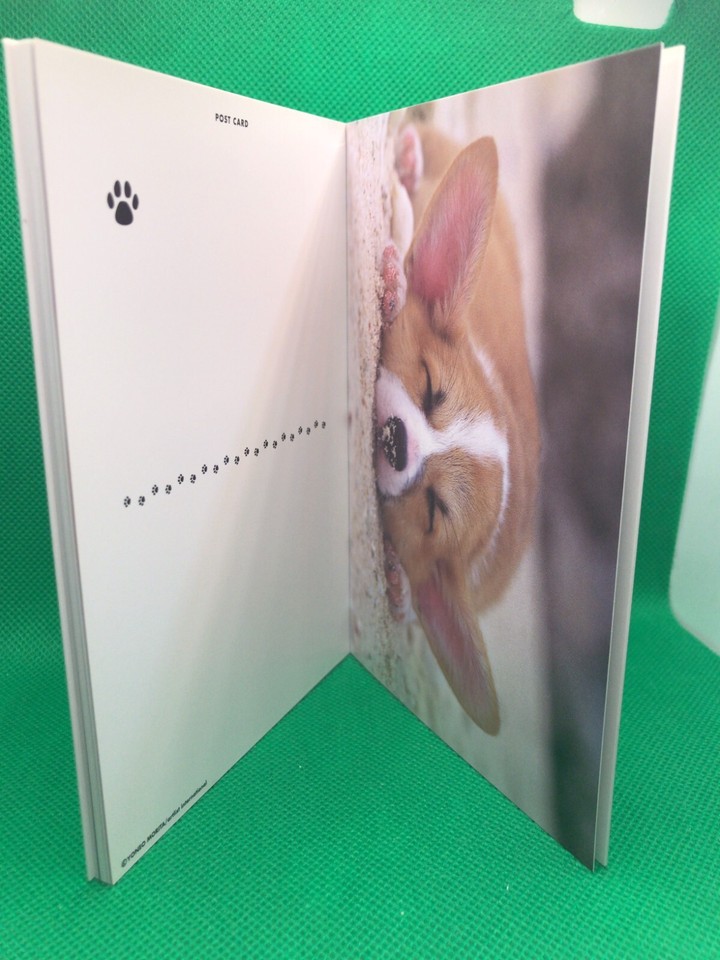 Welsh Corgi THE DOG artist 6in photo book with post cards Japanese | eBay