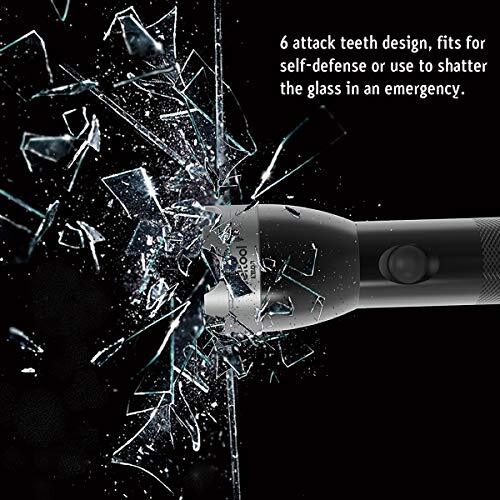 Flashlight Strike Bezel - 304 Stainless Steel for Maglite C or D Cell ...