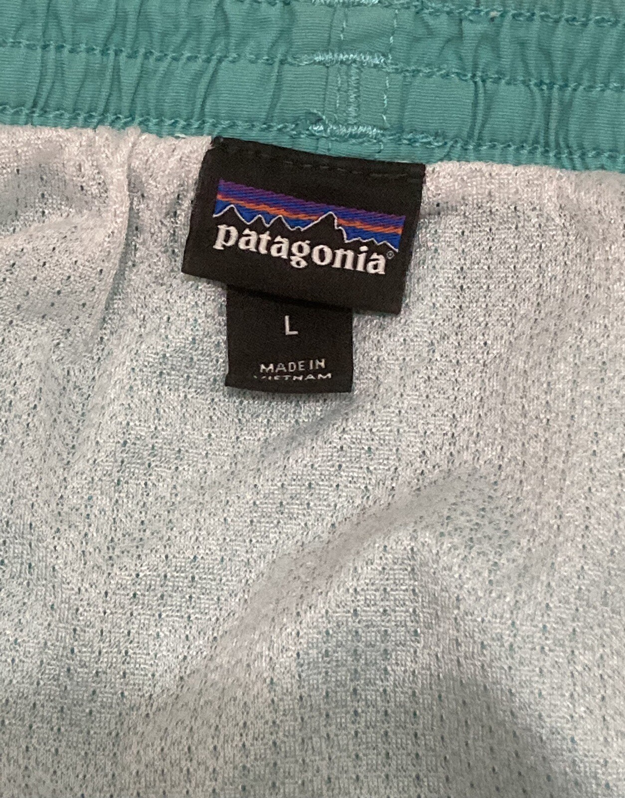 Patagonia 5in Mesh Lined Baggies Athletic Shorts Mens Size Large Teal ...