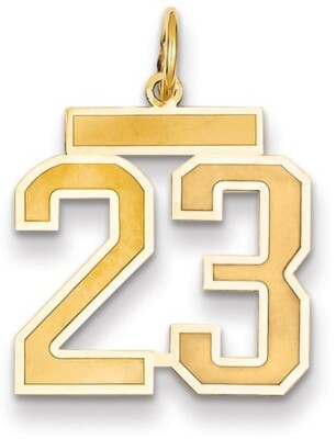14K Yellow Gold Medium Satin Number 23 Charm | eBay