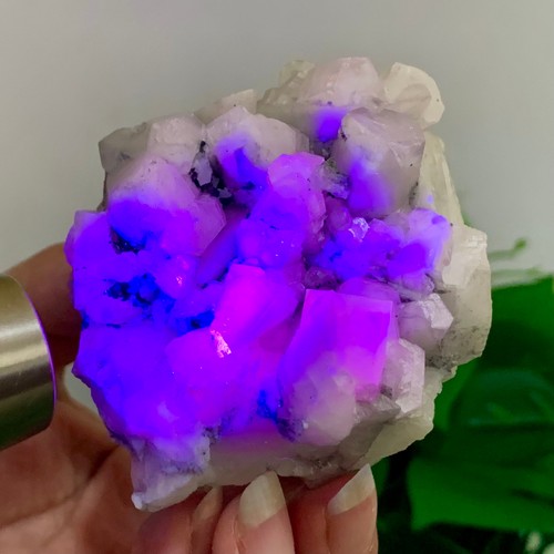 154G Natural Transparent White Fluorescent Calcite Crystal Quartz ...