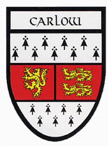 Carlow County Crest Iron On Embroidered Patch Badge | eBay