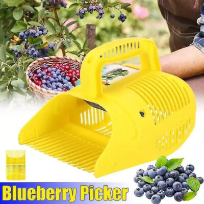 Berry Picker Comb Plastic Blueberry Rake Scoop For Fruit Harvesting UK ...
