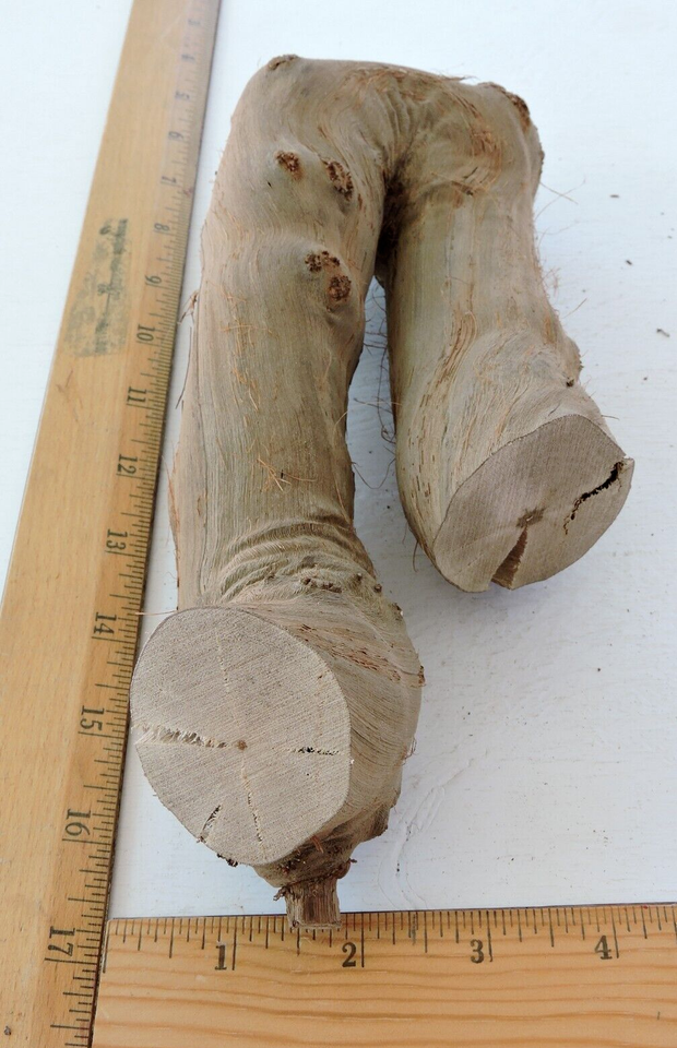 9" Grapevine Wood Stick Log Driftwood Natural Decor Crafts U Crooked 1 ...