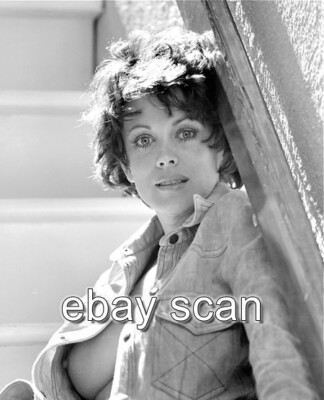 PHYLLIS DAVIS VEGAS BEAUTY BUSTY CHEESECAKE 8X10 PHOTO 40 | eBay