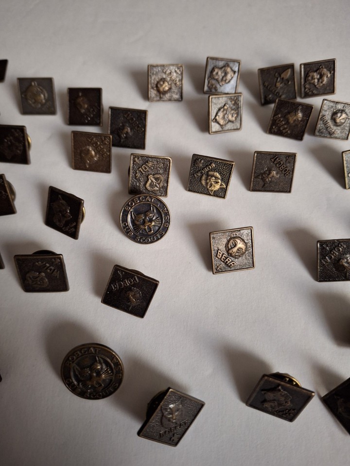 Lot of 35+ Cub Scout Boy Scouts BSA Parent Mom Pins Bobcat Wolf Bear ...