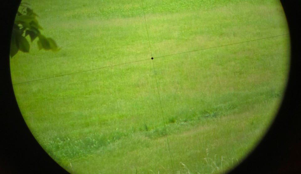 1960s Leupold M8 7.5x Fixed Premier Reticle Crosshair Target Dot Rifle ...