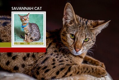 2024 06 - SIERRA LEONE - SAVANNAH CATS 1V MNH ** | eBay
