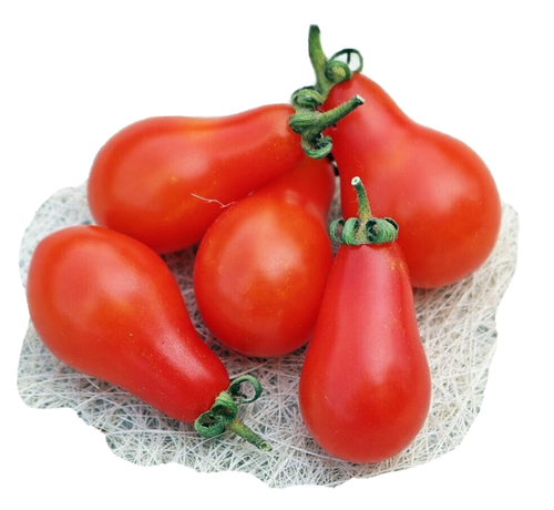 10 x RED FIG TOMATO SEEDS-HEIRLOOM GOURMET SEEDS-ASIAN VEGETABLES-VINE ...