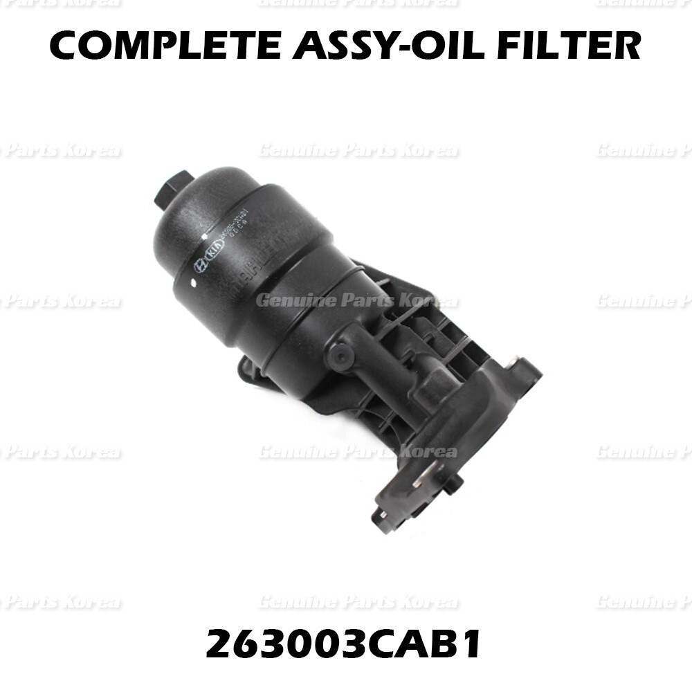 ⭐Genuine⭐ Engine Oil Filter 263003CAB1 for Hyundai & Kia 2012 - 2019 | eBay