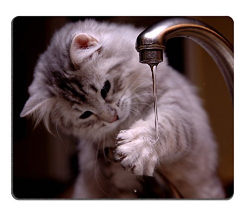 new lovely cute cat kitten paw adorable playing water mouse pad ...