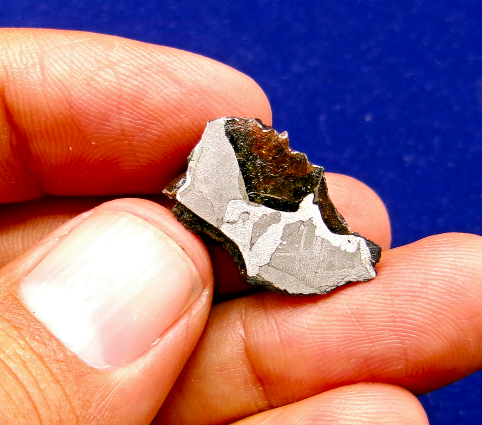 *NEW* 5.88 gram - NWA 15428 Pallasite Meteorite - end cut - found in ...