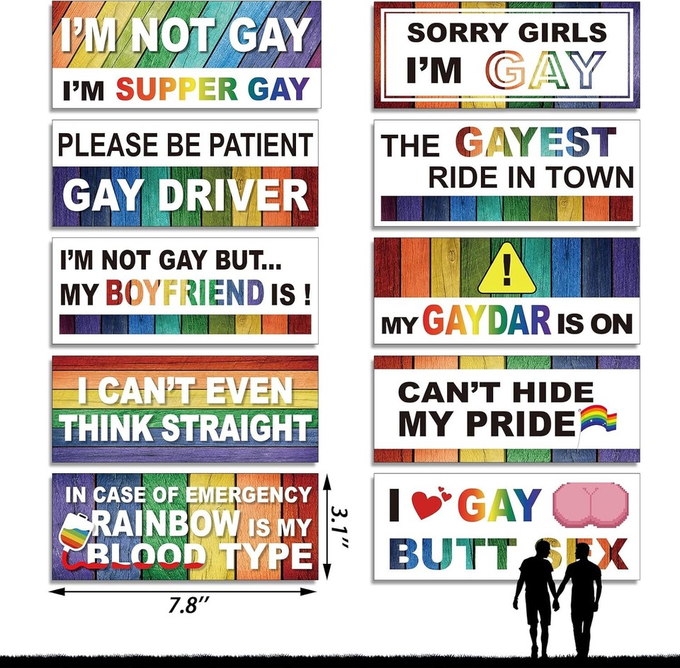 10-pack Magnetic Rainbow Bumper Decals, Funny Gay Pride Car Stickers ...