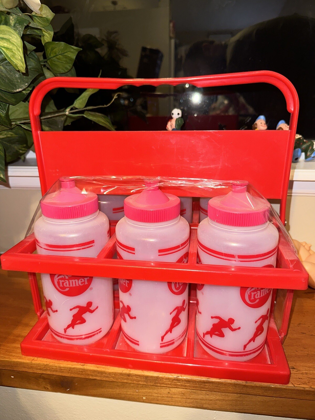 Cramer Collapsible Plastic Water Bottle Carrier Lot With 6 One-Quart ...