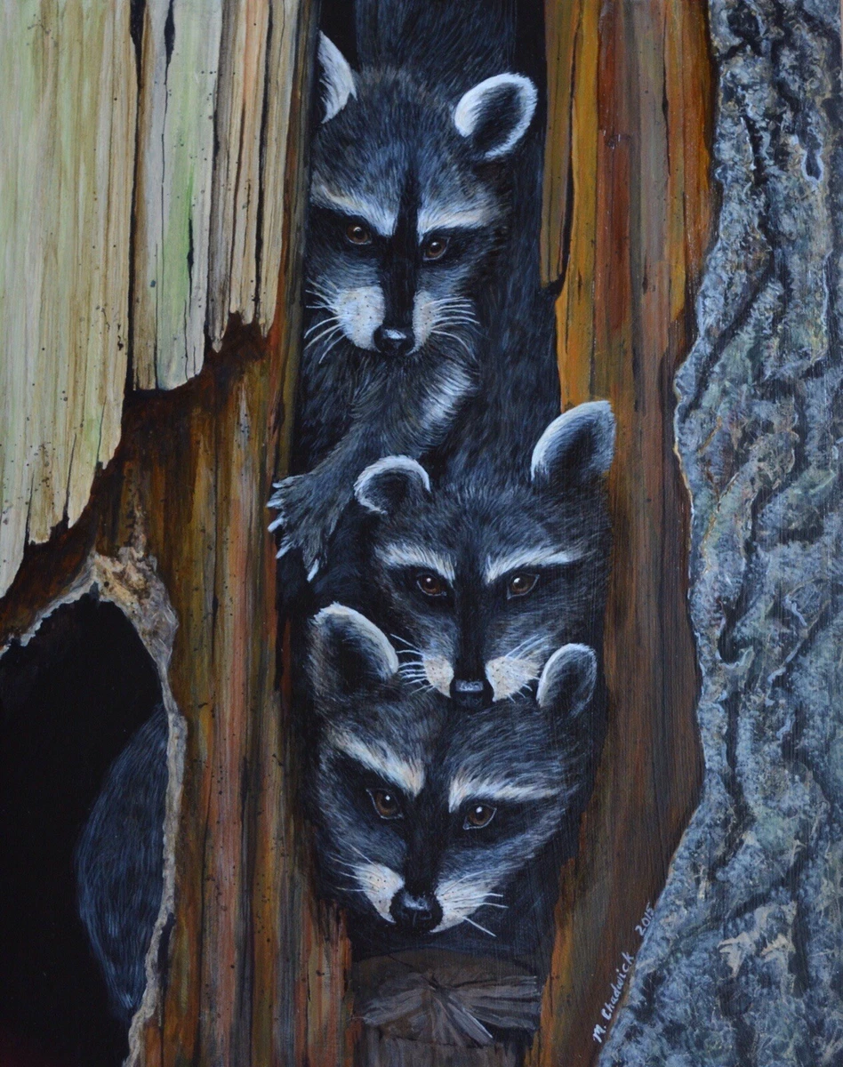 Raccoon Acrylic Painting