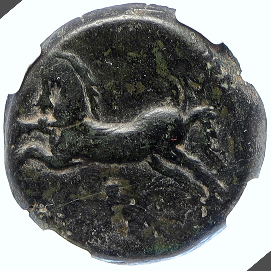 KINGDOM OF NUMIDIA MICIPSA Massinissa Ancient Greek Roman Style Coin ...