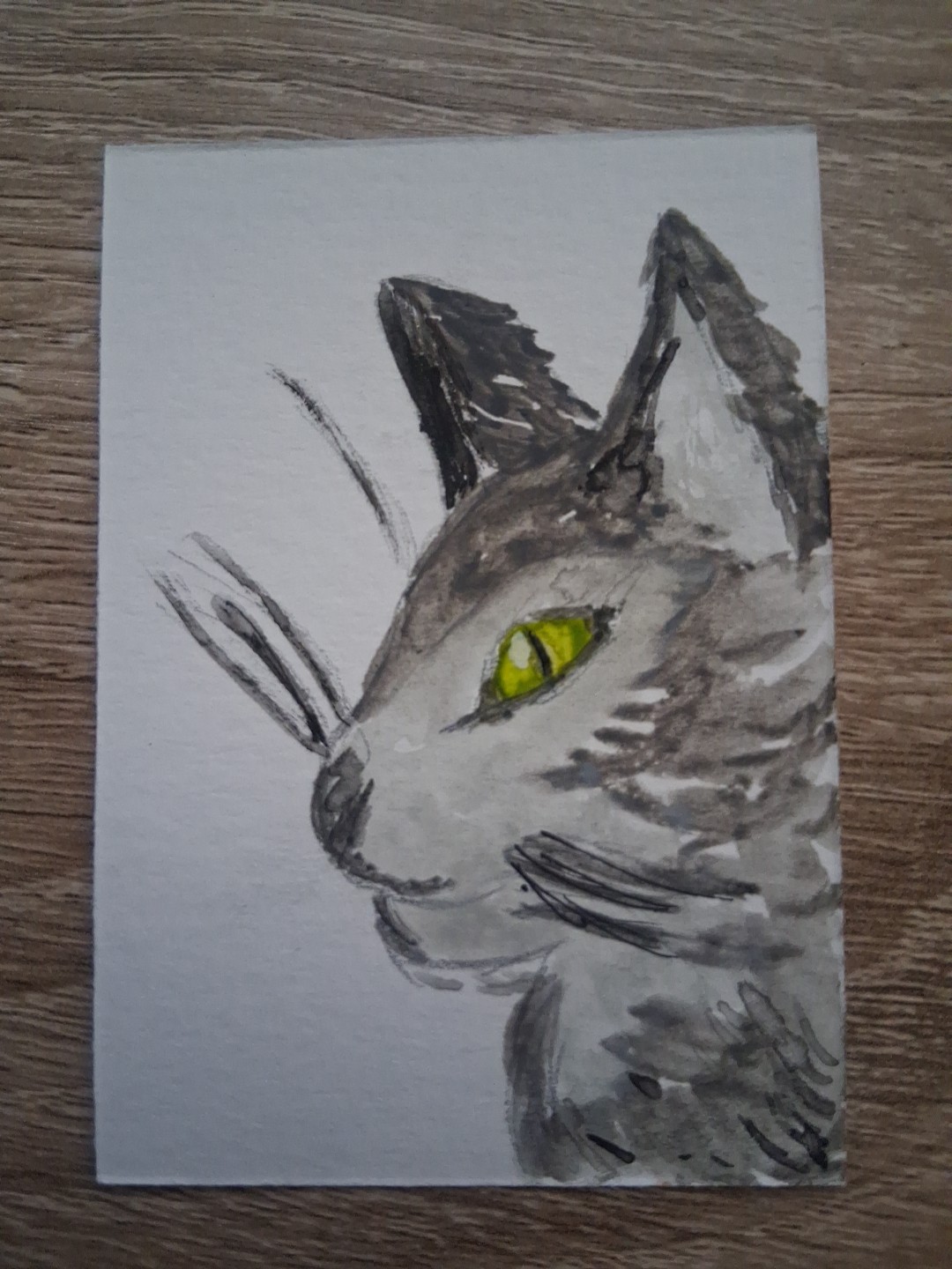 ACEO Watercolor Original Grey Cat Side Profile Painting | eBay