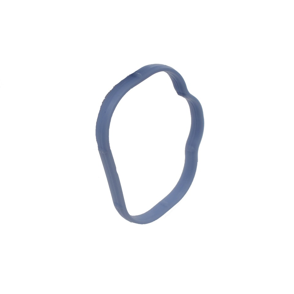 2011-2019 Chrysler Dodge Jeep Intake Manifold Upper & Lower Gasket ...