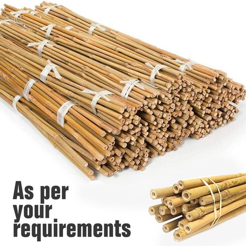 Heavy Duty Garden Canes Plant Support Thick Quality Cane Strong Veg ...