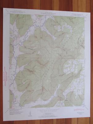 Princeton Alabama 1951 Original Vintage USGS Topo Map | eBay