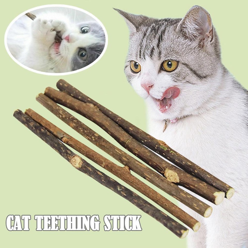 Natural Matatabi Silvervine Dental Cat Nip Stick Catnip ChewToy Teeth ...