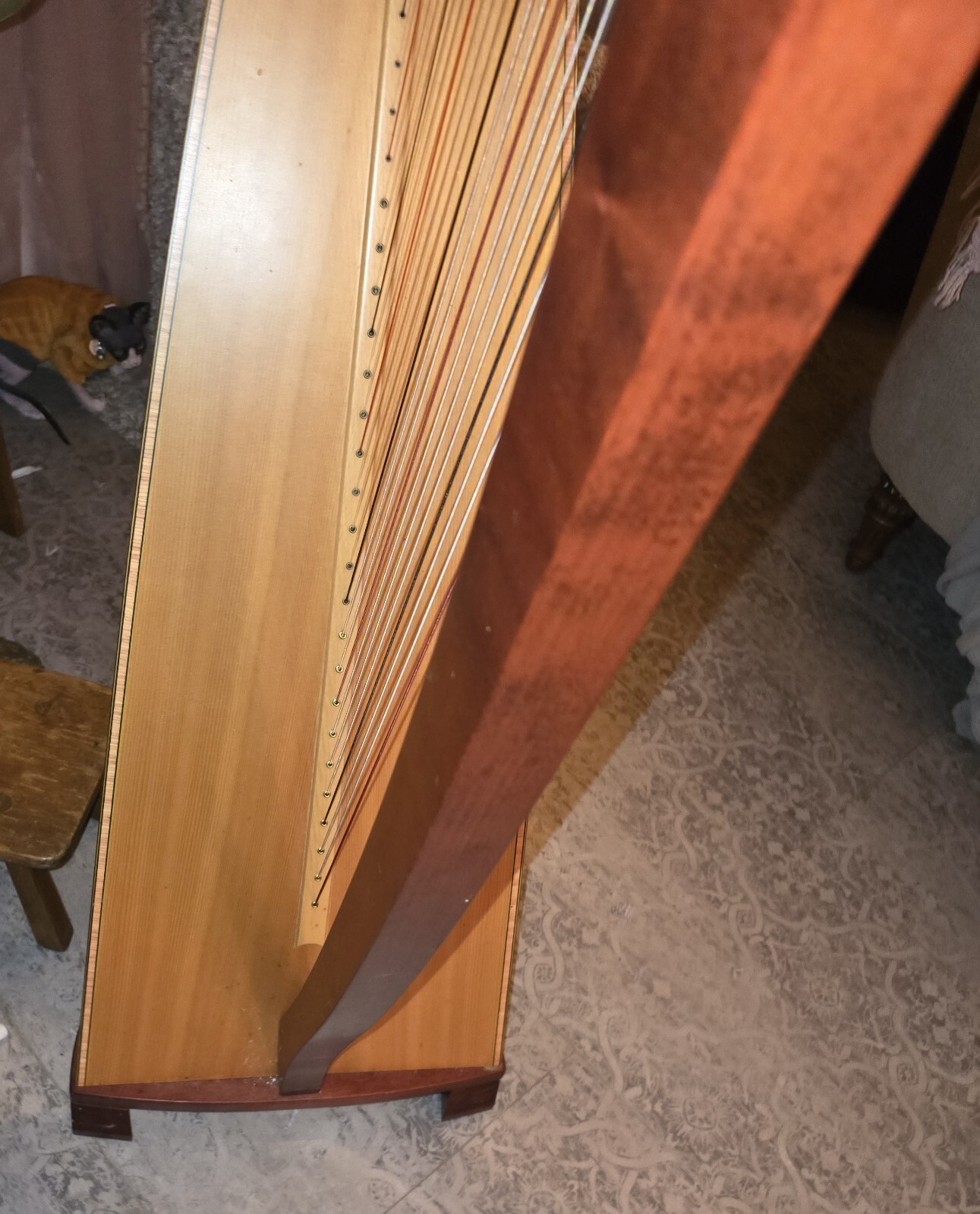 Salvi Livia Lever Harp 36 String 5 Octaves New Strings Tune-up Mahogany ...