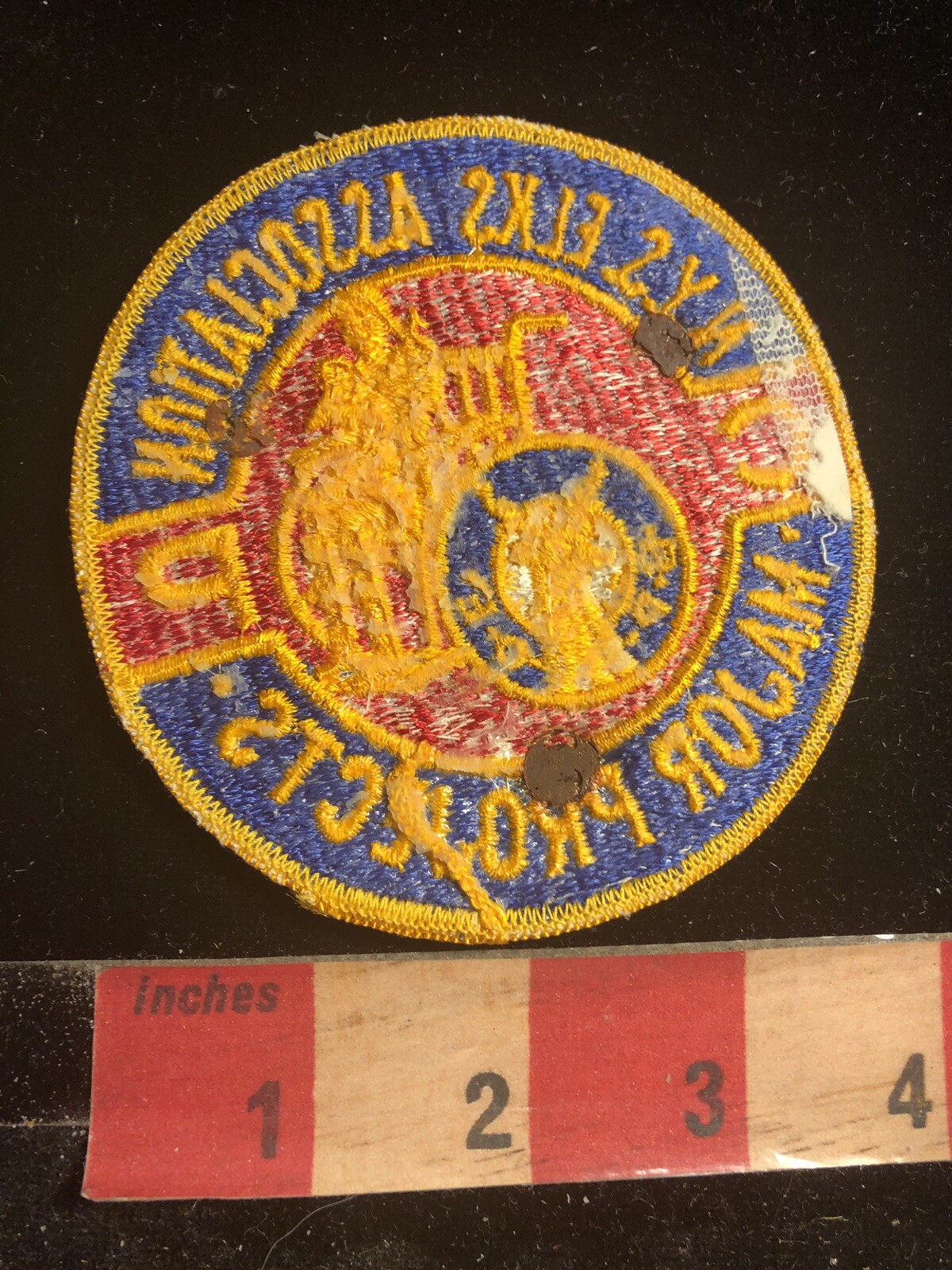 NYS NEW YORK STATE ELKS ASSOCIATION BPOE Major Projects Patch 97U9 | eBay