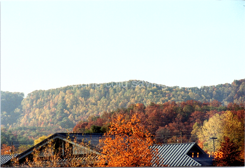 Found Photo - 90s - Trees Changing Colors In The Fall In The Mountains ...