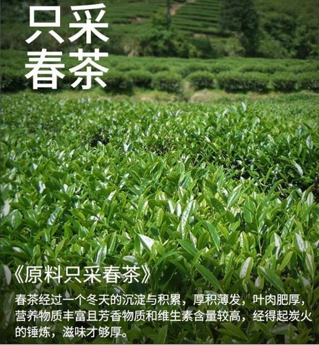 500g Chaoshan Handmade High Mountain Tushan Tea 潮汕土山茶叶 土山茶高山茶清香型新茶春茶 | eBay