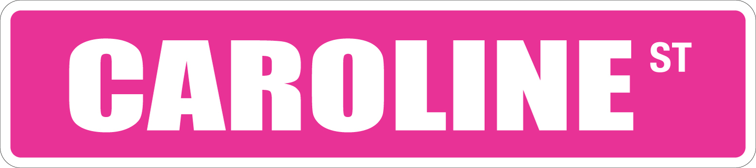 *Aluminum* Caroline 4" x 18" Metal Novelty Street Sign SS 798 | eBay