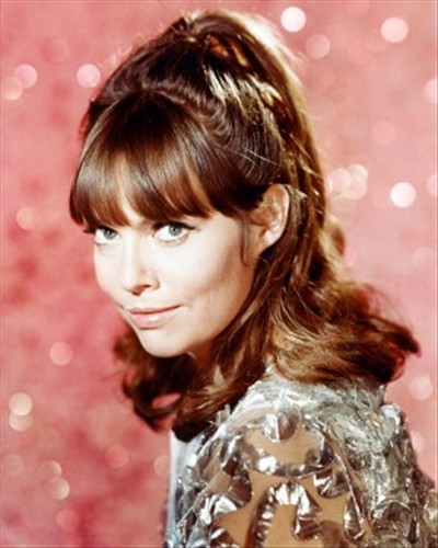 Barbara Feldon Wie Agent 99 Von Get Plakat Druck 61x50.8cm Lovely Foto ...