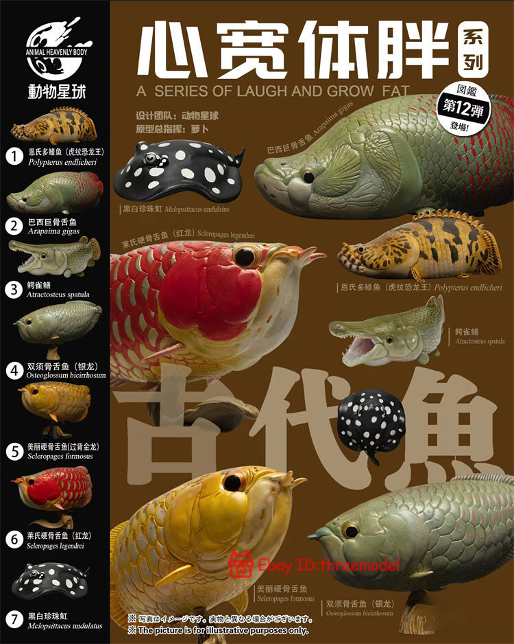 Animal Heavenly Body A Series Of Laugh And Grow Fat 12 Fish Full Set ...