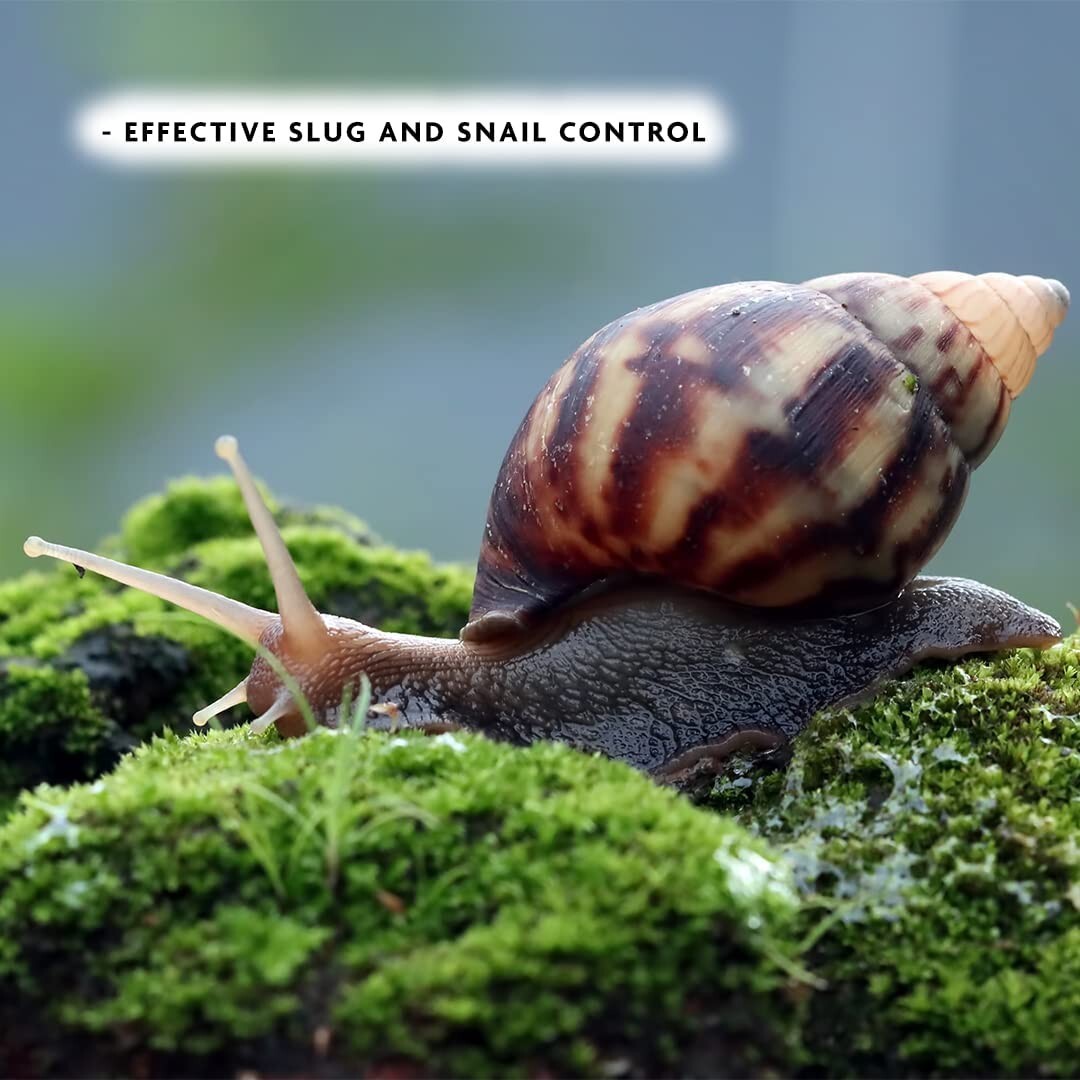 Slug Killer 2kg Ferrimax Pellets Eco Friendly Certified Organic Enviro ...